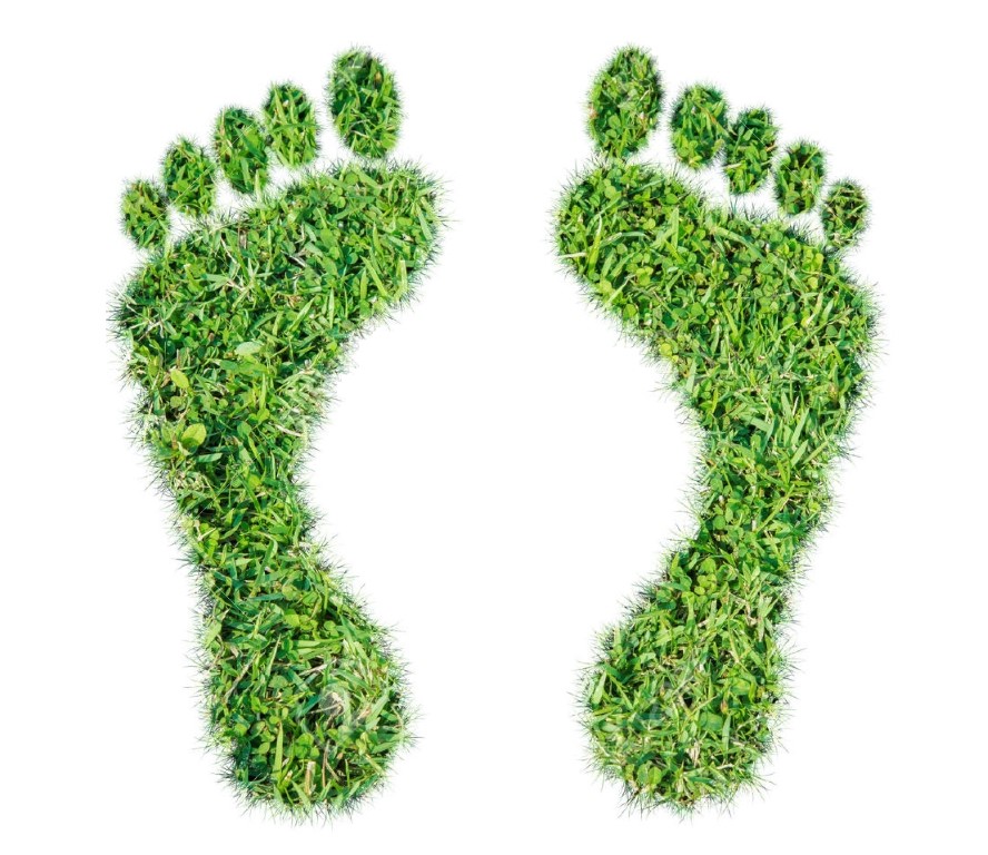Product Environmental Footprint (PEF) e Organisation Environmental ...